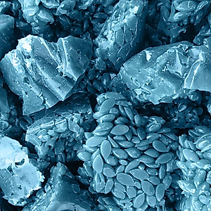 Waxness Wax Necessities Hard Wax Beads Azulene 1.1 Pound