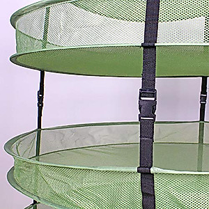 Aiicioo Herb Drying Rack - 4 Layer 3 Feet Collapsible Hanging Mesh Dry Net Folding Mesh Herb Dryer for Plant Weed Mushroom Vegetable Seeds Flowers