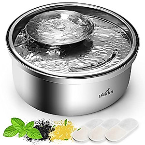 iPettie Trumpet Pet Water Fountain Stainless Steel Upgrade Version, 100oz/3L, Great for All Life Stages, 7 ° Tilted Design, Hygienic 4-Stage Filtration, Ultra Quiet Dishwasher Safe, with 3 Filters