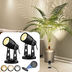 Junview 2 Pack LED Spot Lights Indoor 3000K/4000K/6000K Adjustable Up Lights Indoor 3W Dimmable Floor Spotlight for Plants Uplighting Indoor with Auto On/Off Timer for Pictures Artwork Accent Lighting