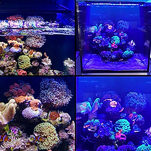 lucare 12-18 inches 18W Saltwater Aquarium Light with Full Spectrum LED, Exclusive Reef Coral Light Spectrum for 10-30 Gallon Marine Nano Fish Tank，Dimmable Dual Channel for Saltwater LPS & SPS