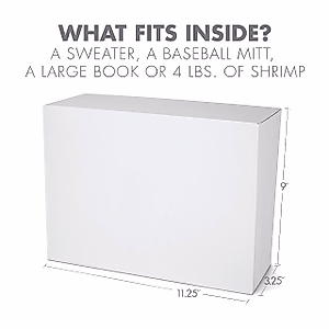 Prank-O, Pet Talk Prank Gift Box, Wrap Your Real Present in a Funny Authentic Prank-O Gag Present Box, Novelty Gifting Box for Pranksters, Perect Birthday Gag Gift Box