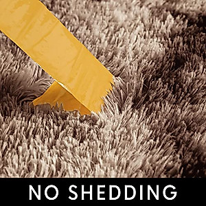 Vocrite Shag Rug for Bedroom, 4'x6' Fluffy Rectangluar Brown Shaggy Living Room Area Rugs, Non-Slip Plush Furry Fuzzy Faux Fur Carpet, Cozy Soft Throw Rug for Classroom Boys&GirlsNursery Dorm