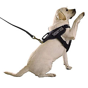 Viper Biothane Working Tracking Lead Leash Long Line for Dogs, Black