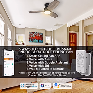 CEME 52" Black Smart Flush Mount Ceiling Fan with Lights, 10 Speeds, 3 Dimmable Light Colors, Alexa & Siri Compatible