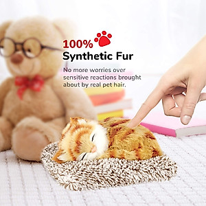 Perfect Petzzz Mini Orange Tabby Kitten, Kitty Toys for Girls, Boys, & Elderly, Realistic Cat Stuffed Animals, Battery-Operated Fake Cat Electronic Pets