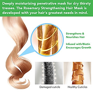 Purvigor Rosemary Hair Mask Infused with Biotin (2 fl.oz), Rosemary Strengthening Hair Masque, Deep Conditioner for Dry, Damaged, & Frizzy Hair,Natural Rosemary Mint Hair Mask