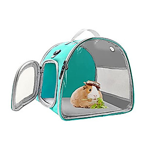 Small Animal Carrier Bag, Upgraded Portable Guinea Pig Carriers, Transparent Hamster Carrying Case, Reptile Rat Rabbit Bearded Dragon Hedgehog Carrier Bag for Travel, Hiking, Walking, Outdoor (Green)