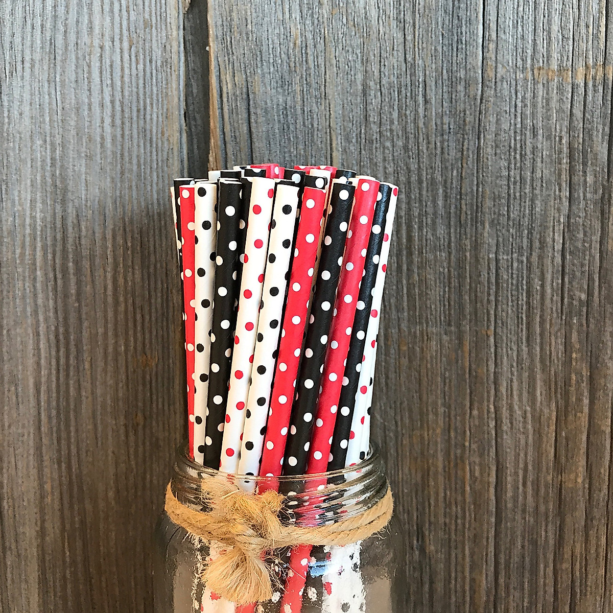 Paper Drinking Straws - Black Red and White Polka Dot - Ladybug Theme - 7.75 x .25 Inches - 100 Pack - Outside the Box Papers Brand