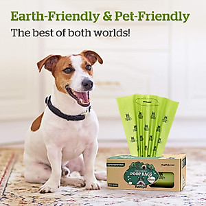 Pogi’s Dog Poop Bags - 500 Unscented Doggie Poop Bags for Yards - Leak-Proof Dog Waste Bags - Ultra Thick, Extra Large Poop Bags for Dogs & Cats (Single Large Roll)