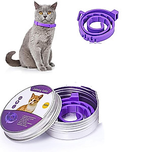 KAYNO Purple Cat Calming Collars Adjustable Cat Pheromones Calming Collars with 1 Bells Reducing Anxiety for Pets Suitable Cat Relaxants for Small Medium and Large Cats (15 Inches)