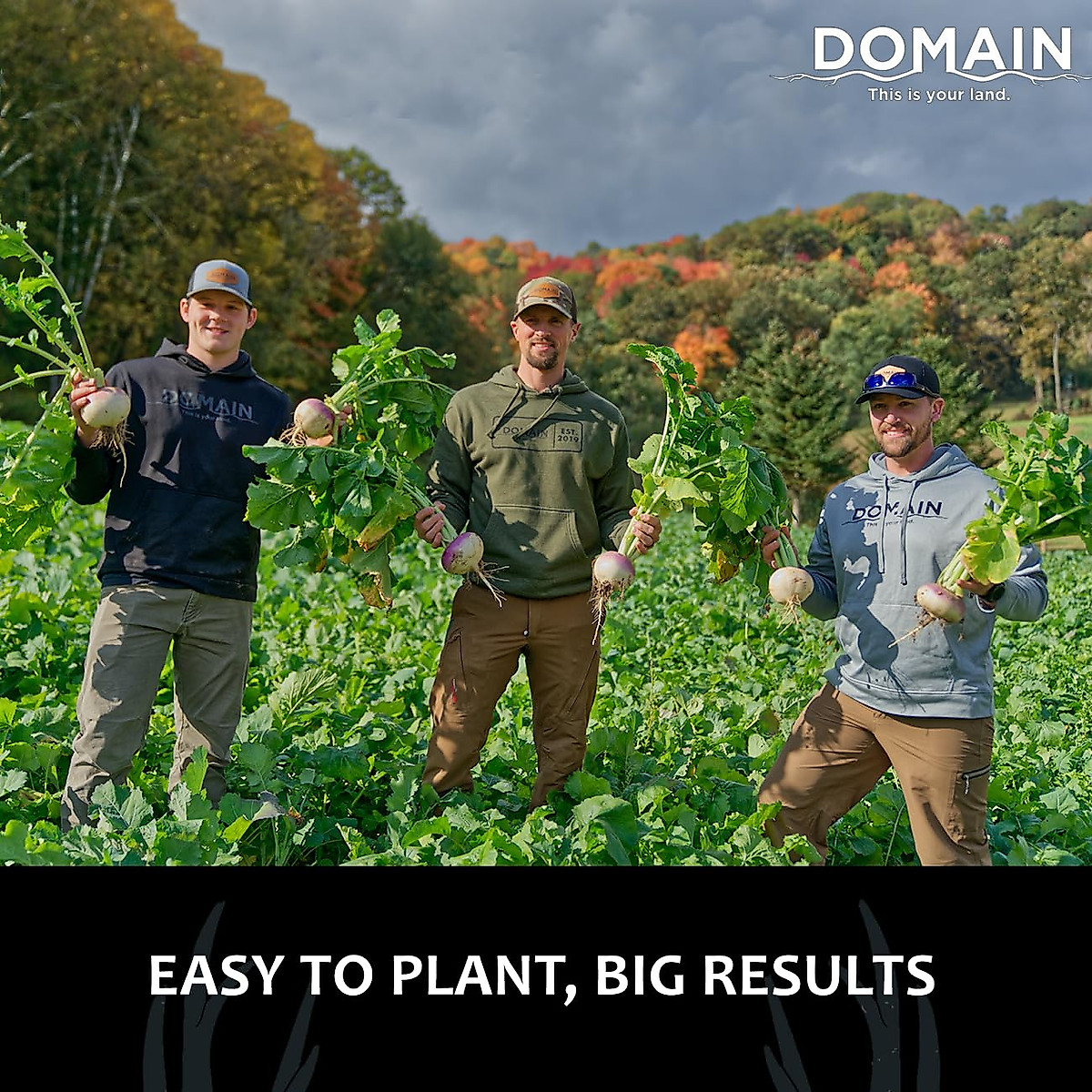 Domain Outdoor Big Sexy Food Plot Seed for Deer, 1/2 Acre, Turnip, Radish, Kale and Forage Rape, High Level of Nutrients & Protein to Support Antler Growth and Health, Fast Germination, Easy to Plant