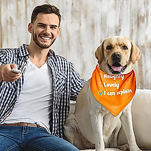 9 Pieces Holiday Dog Bandanas Halloween Dog Bandanas Thanksgiving Christmas Dog Handkerchief Adjustable Large Pet Scarf Washable Dog Scarves for Dog Costume Supply (Cute Pattern)