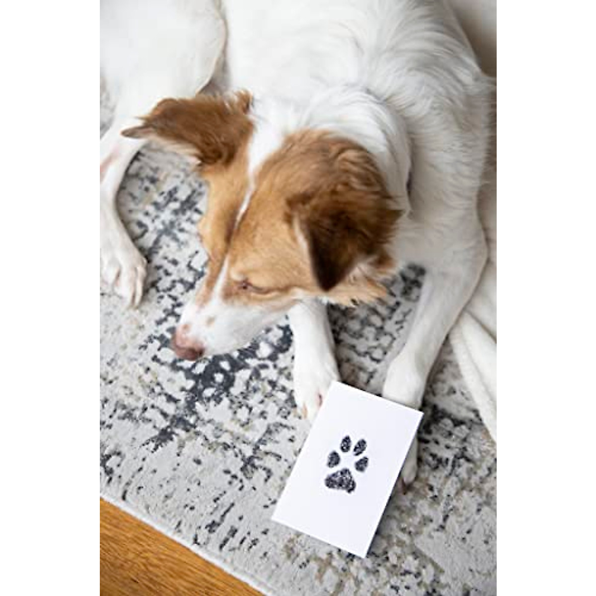 Pearhead Pet Clean-Touch Ink Pad, Medium/Large, Black Ink Pad for Cats or Dogs, Pet Owner, Pet Owner Must Have Item, Pet Memory Keepsake, for Medium to Large Pets