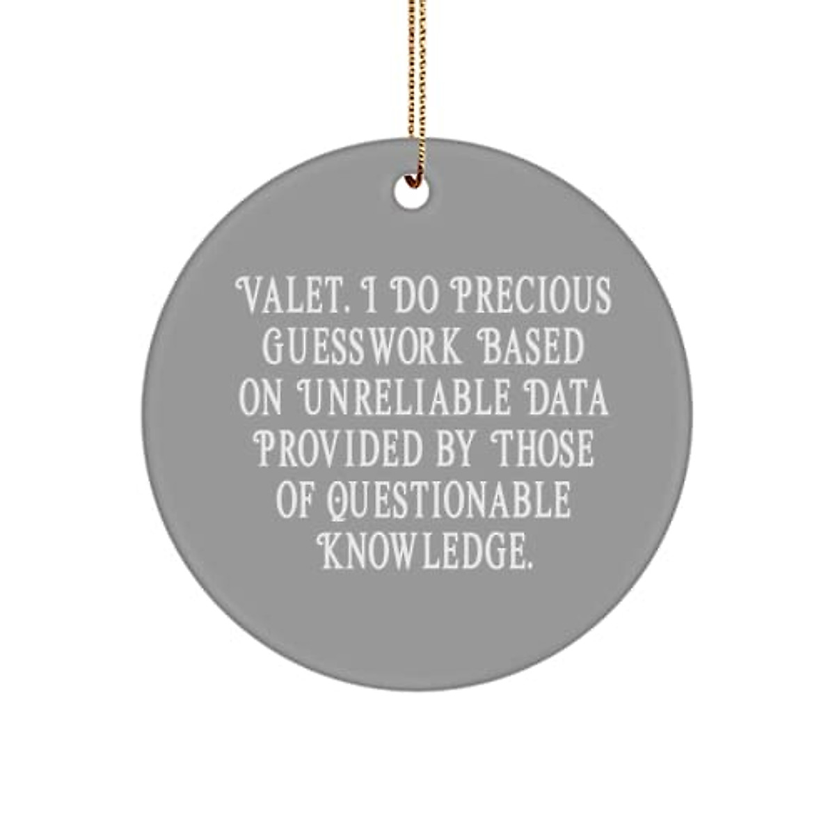 Inappropriate Valet Circle Ornament, Valet. I Do Precious Guesswork Based on Unreliable Data., Best for Coworkers, Holiday