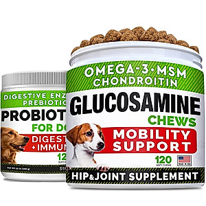 Glucosamine Treats for Dogs + Dog Probiotics Treats for Picky Eaters Bundle - Joint Supplement w/Omega-3 Fish Oil, Chondroitin, MSM and Digestive Support, Allergy, Gas and Constipation Relief