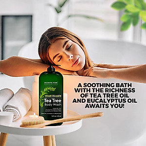 Majestic Pure Tea Tree Body Wash - Formulated to Combat Dry, Flaky Skin - Soothes, Nourishes and Moisturizes Irritated, Chapped, Problem Skin Areas - (Packaging may Vary) -16 fl. oz (Pack of 2)
