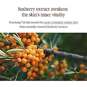 yunkang Yul Black Tea Enriched Cream, Korean Anti-Aging Face Cream Moisturizer for Women, Wrinkle Care, Skin Brightening with Peptide and Adenosine 60ml