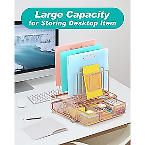Beiz Rose Gold Desk Organizer and Accessories Storage with 5 Stacking File Folder Sorter, Paper Tray, Drawer, 60 Colorful Clips Set (Included), Desktop Organization for Women Office