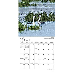 Oregon Wild & Scenic | 2023 12 x 24 Inch Monthly Square Wall Calendar | BrownTrout | USA United States of America Pacific West State Nature