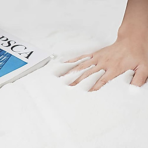 Ghouse Ultra Soft Faux Rabbit Fur Rug 2x3, Machine Washable Area Rugs for Bedroom Fluffy Rugs for Living Room, no-Shedding Carpet Sheepskin Rug White