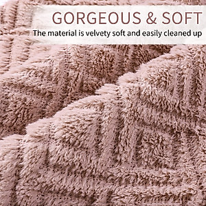 ETASOP Set of 2 Couch Pillows with Inserts 18x18, Spring Decorative Pillow Covers Velvet Throw Pillows with Inserts Included Farmhouse Cushions (Pink)