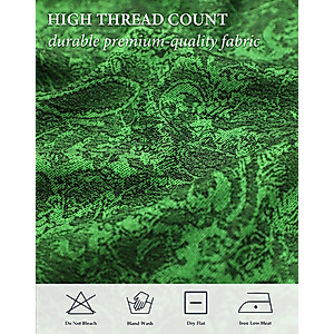 Achillea Women's Two Tone Vintage Jacquard Paisley Pashmina Shawl Wrap Scarf (Kelly Green)