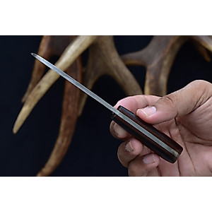 Knives Ranch Damascus Steel Small Castrator with Indian Rosewood Handle Dual Carry Vertical or Horizontal Cowboy Crossdraw Leather Sheath (3177-IRW)