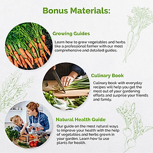 Organo Republic 25 Winter Vegetable & Herb Garden Seeds Variety Pack for Outdoors & Indoor Home Gardening 5000+ Non-GMO Heirloom Seeds Broccoli Beet Carrot Cabbage Radish Pea Mint Thyme Parsley