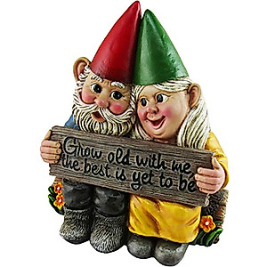 DWK - Growing Old Together - Garden Gnome Couple in Love Collectible Figurine Best Friends Lovers Romantic Statue Indoor Outdoor Garden Patio Home Décor, 5.75-inch