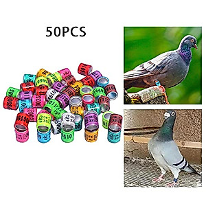 Gazechimp 50pcs Reusable 2023 Pigeon Leg Rings Numbered 8mm Bird Foot Bands for Parrot, Quail, Chicks, Small Poultry, Canary, Lovebirds, Ducks, Mixed Color