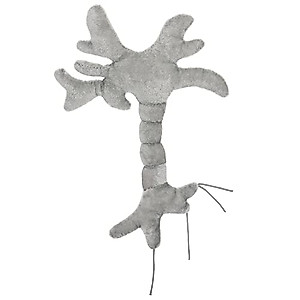 GIANTmicrobes Brain Cell Plush, Neuron Plush, Neuroscience Gifts, Neurology Gifts, Science Plush, Neuron Model Anatomy, Psychology Gifts, Psychology Decor, Brain Themed Gifts, Mental Health Awareness