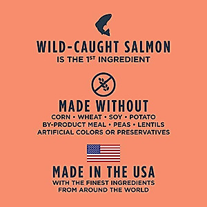 Instinct Raw Boost Whole Grain Real Salmon & Brown Rice Recipe Natural Dry Dog Food, 4.5 lb. Bag