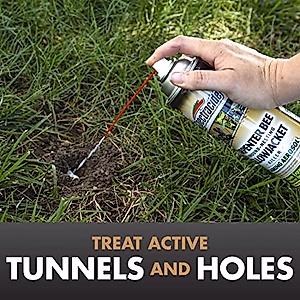 Spectracide Termite Killer, 16 oz - 12 count