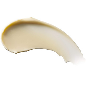 Burts Bees Body Lotion for Normal to Dry Skin with Milk & Honey, 12 Oz (Package May Vary)