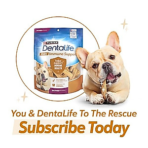Purina Dentalife Plus Immune Support Chicken, Apple and Blueberry Flavor Small/Medium Dog Dental Chews - 19 ct. Pouch