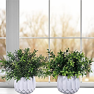 Winlyn 3 Pcs Faux Potted Plants Set - Artificial Eucalyptus, Rosemary, Boxwood Greenery in Small White Geometric Planters for Indoor Outdoor Desk Table Centerpiece Shelf Windowsill Home Office Decor
