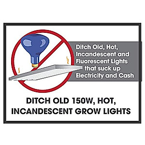 Miracle LED Absolute Daylight Spectrum, Ultra Grow Lite 2-Pack, 12W (604868)