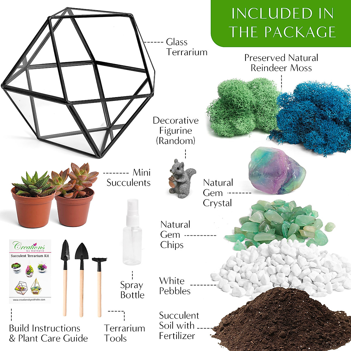 7” DIY Succulent Terrarium Kit with Live Plants, Decorative Rocks, Moss, Healing Crystals, Figurine, Tools & Geometric Glass Terrarium Décor