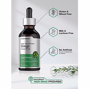 Horbäach Ginkgo Biloba Extract Liquid | 2 fl oz | Alcohol Free Leaf Extract Supplement | Vegetarian, Non-GMO, Gluten Free