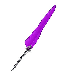 Ciglow Retro Feather Pen, Calligraphy Dip Feather Pen Sealing Set with 5pcs Nib Empty Ink Bottle Writing Pen Gift Box for Christmas, Valentine.(Purple)