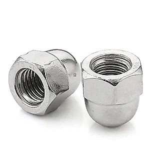 heyous 20pcs 304 Stainless Steel Acorn Cap Nuts 1/4" for Precision Machinery, Instruments and Meters