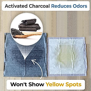 Alpha Paw - Odor Eliminating Pee Pads for Dogs, Extra Thick Disposable Leak-Proof Dog Pads, Quick-Dry, Non-Slip Backing, With Pheromones To Attract Your Dog