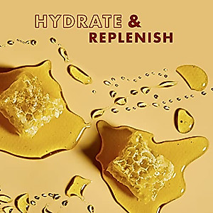 SheaMoisture Conditioner Intensive Hydration for Dry, Damaged Hair Manuka Honey and Mafura Oil to Nourish and Soften Hair 13 oz