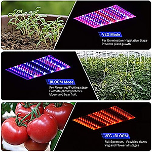 LUYIMIN 1000W LED Grow Light, 261PCS LEDs Dual Switch Full Spectrum Plant Light, Grow Lights for Indoor Hydroponic Plants Veg Flower Greenhouse Growing Lamps, Double Chips