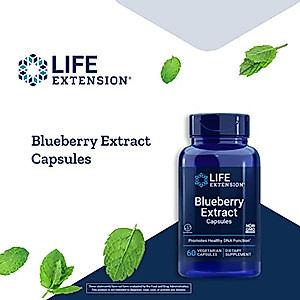 Life Extension Blueberry Extract Capsules - Whole Fruit Wild Blueberry Extract Supplement Pills- For Brain Health Support - Non-GMO, Gluten-Free ,Vegetarian - 60 Capsules