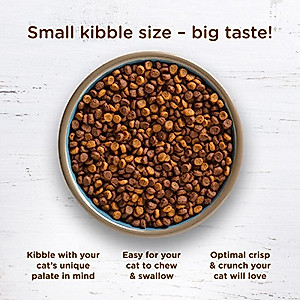 Rachael Ray Nutrish Premium Natural Dry Cat Food, Chicken & Brown Rice Recipe, 3 Pounds