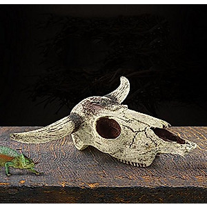 Leoyoubei Aquarium Decoration, Fish Tank Small Skull,Fish Turtle Hidden, Bonsai beautification. Cave Landscape Pet Reptile House Shrimps & Snails Love Them (Cattle Skull)