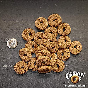 Fromm Crunchy O's Blueberry Blasts With Chicken Dog Treats 6 oz