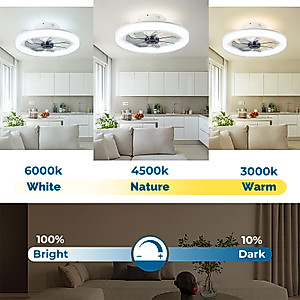 Orison Smart Ceiling Fans with Lights, 20'' Low Profile Ceiling Fan with Remote and App Control, Flush Mount Ceiling Fan with Voice Control, Compatible with Alexa & Google Home (White)
